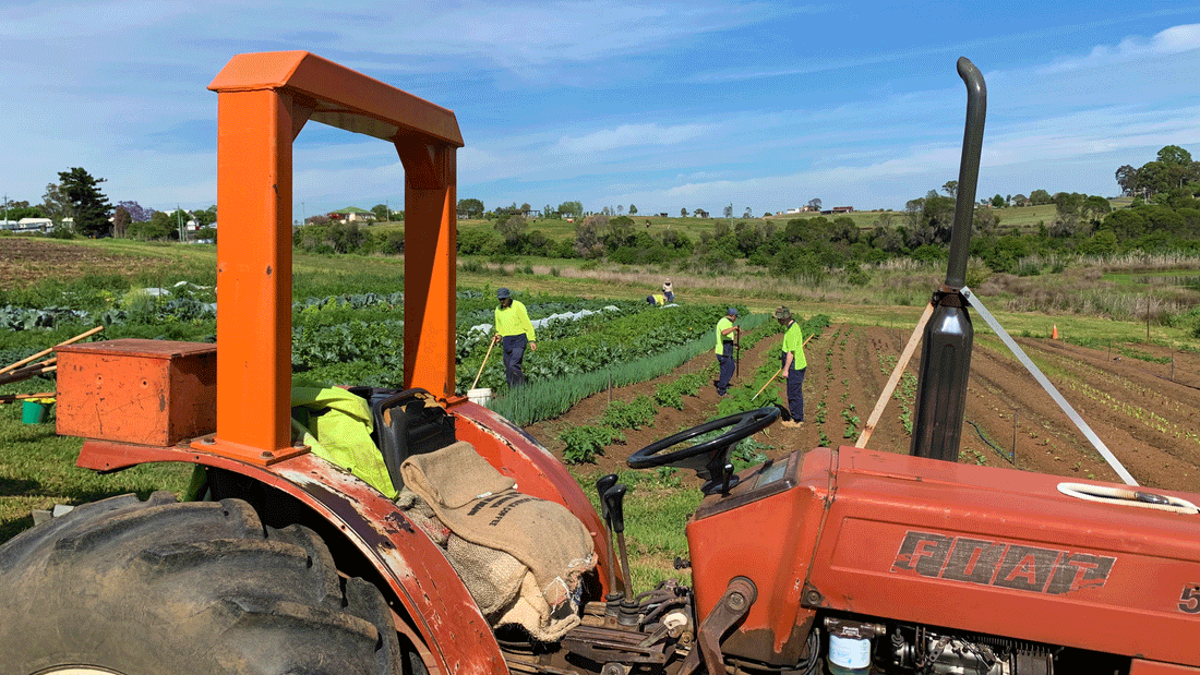 Cana Farm, Social Enterprise and Cana Communities initiative
